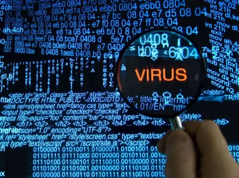 Co to jest i jakie rodzaje robaków komputerowych istnieją i jak ich ...